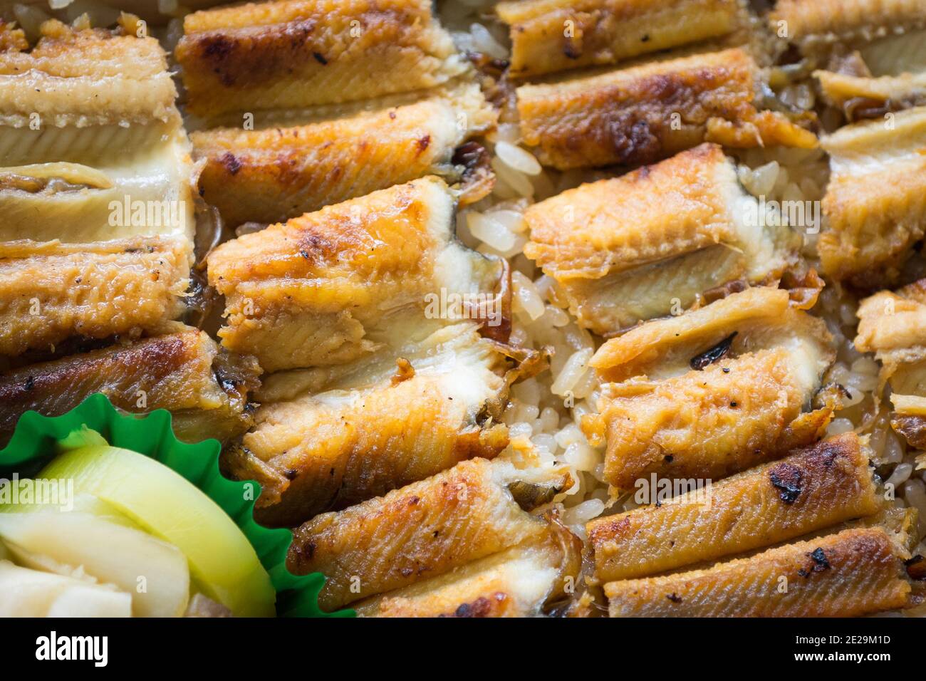 The famous conger eel lunch box (anagomeshi, anago meshi, anago-meshi ...