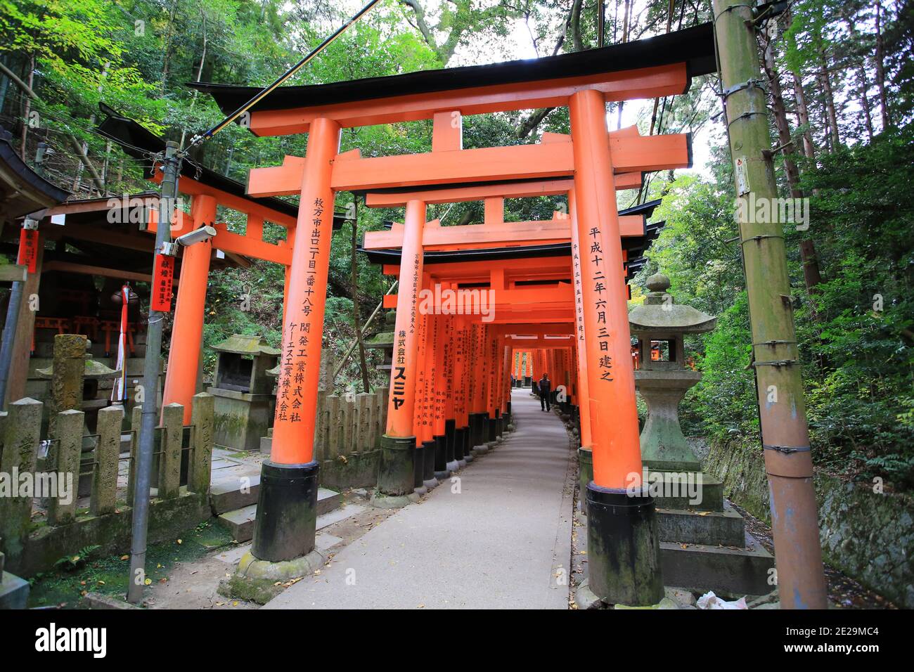 Fushimi inari-taisha, the fox god shrine Stock Photo - Alamy