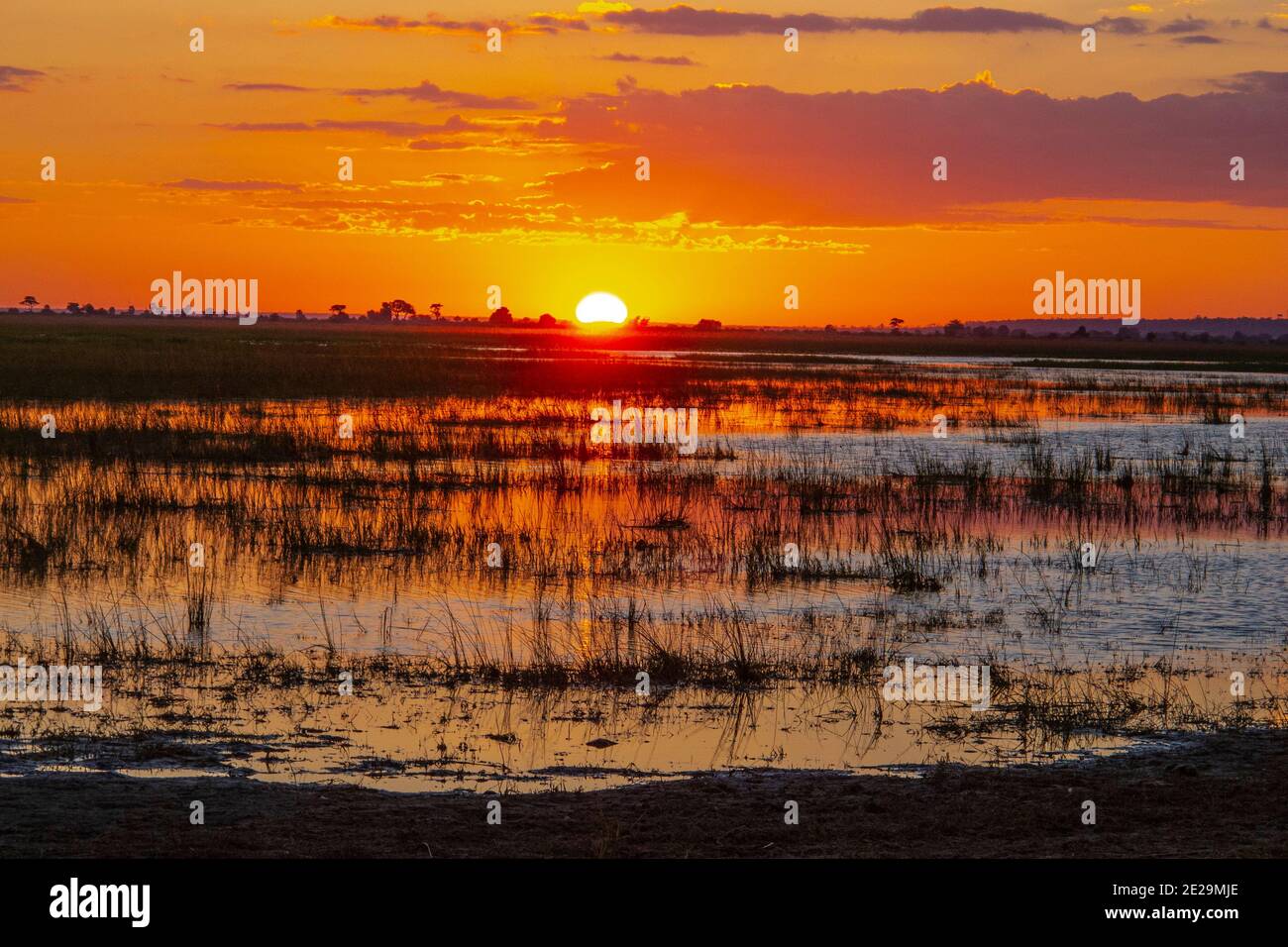 Sunset in Africa Stock Photo - Alamy