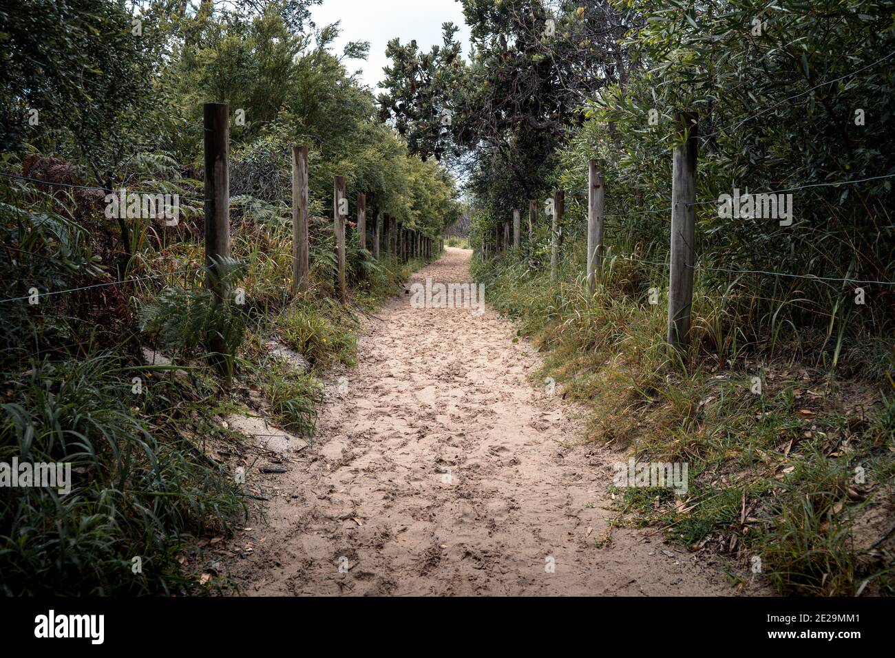 Path surrounded fences green hi-res stock photography and images - Alamy