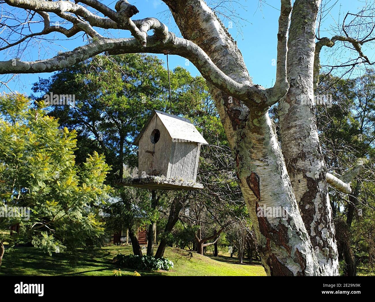 Viewof rustic wood birdhouse hanging on a tree against a blue sky Stock ...