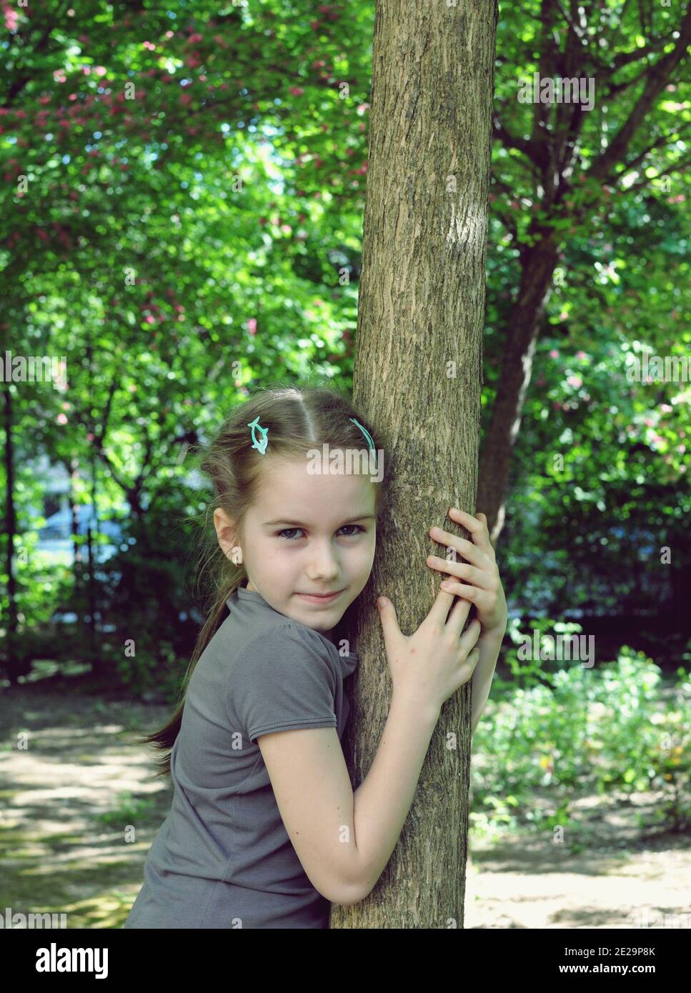 Trees embracing hi-res stock photography and images - Alamy