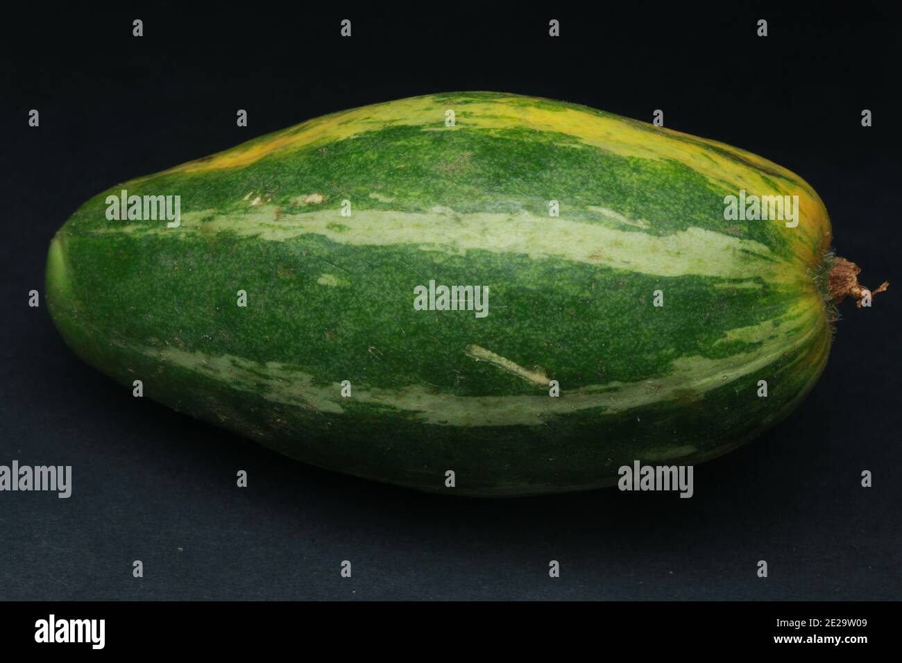 Coccinia indica, baby watermelon, little gourd, gentleman's toes ...