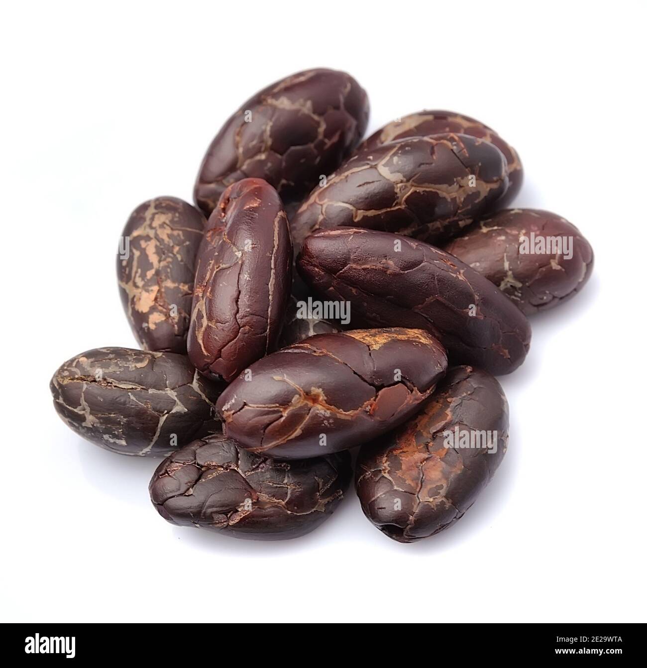 Cocoa beans closeup on white backgrounds Stock Photo - Alamy