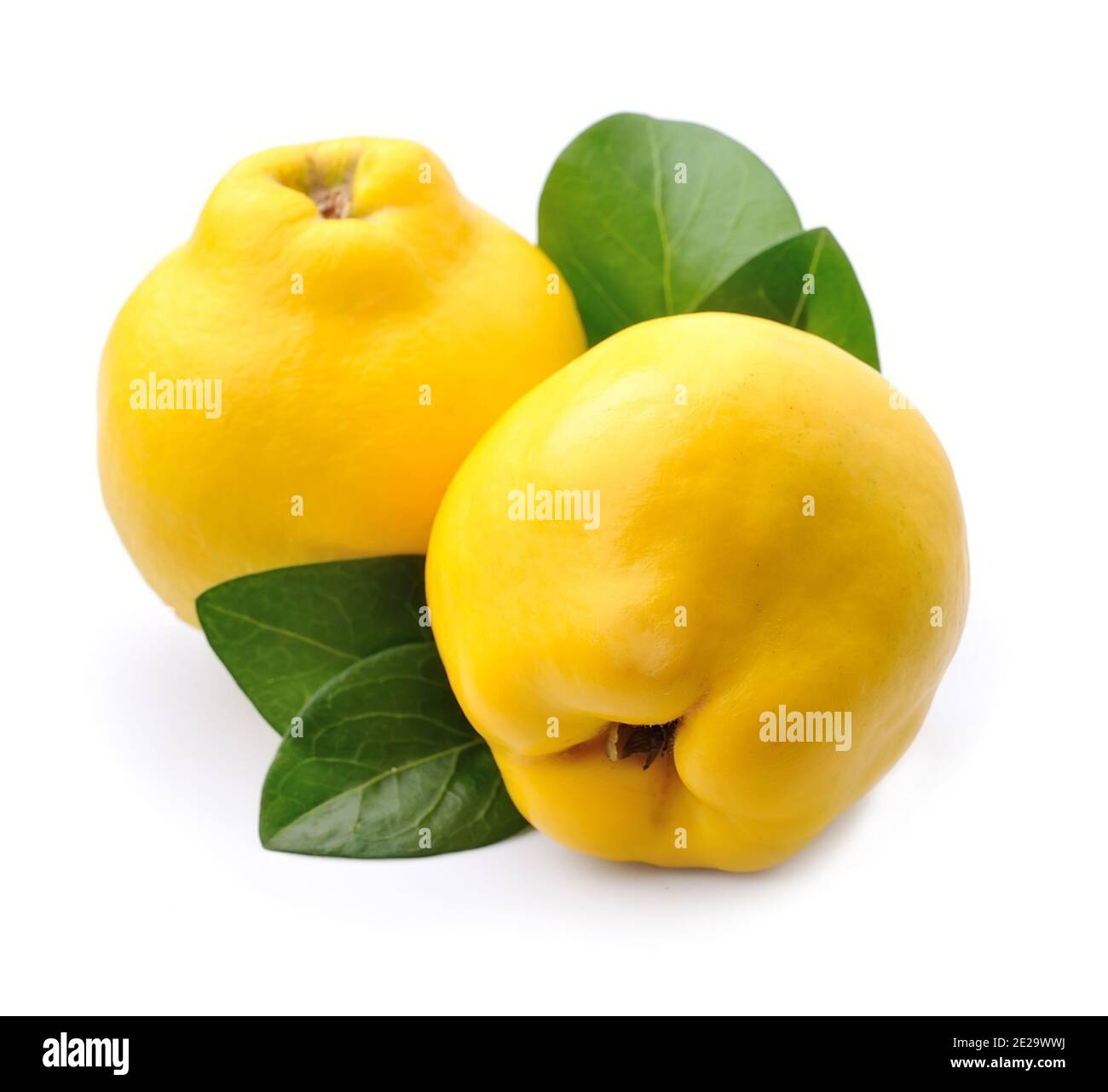 Sweet quince with leaves isolated on white backgrounds. Ripe fruits ...