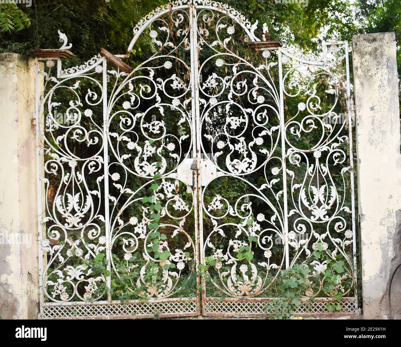Old white rusted gate leading to a green garden Stock Photo - Alamy