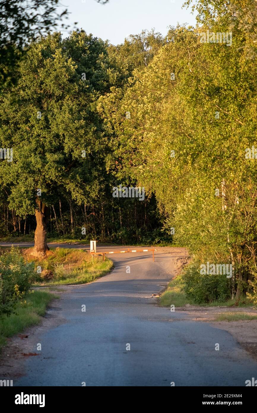 Natural view of the trees and field in a village side. High quality ...
