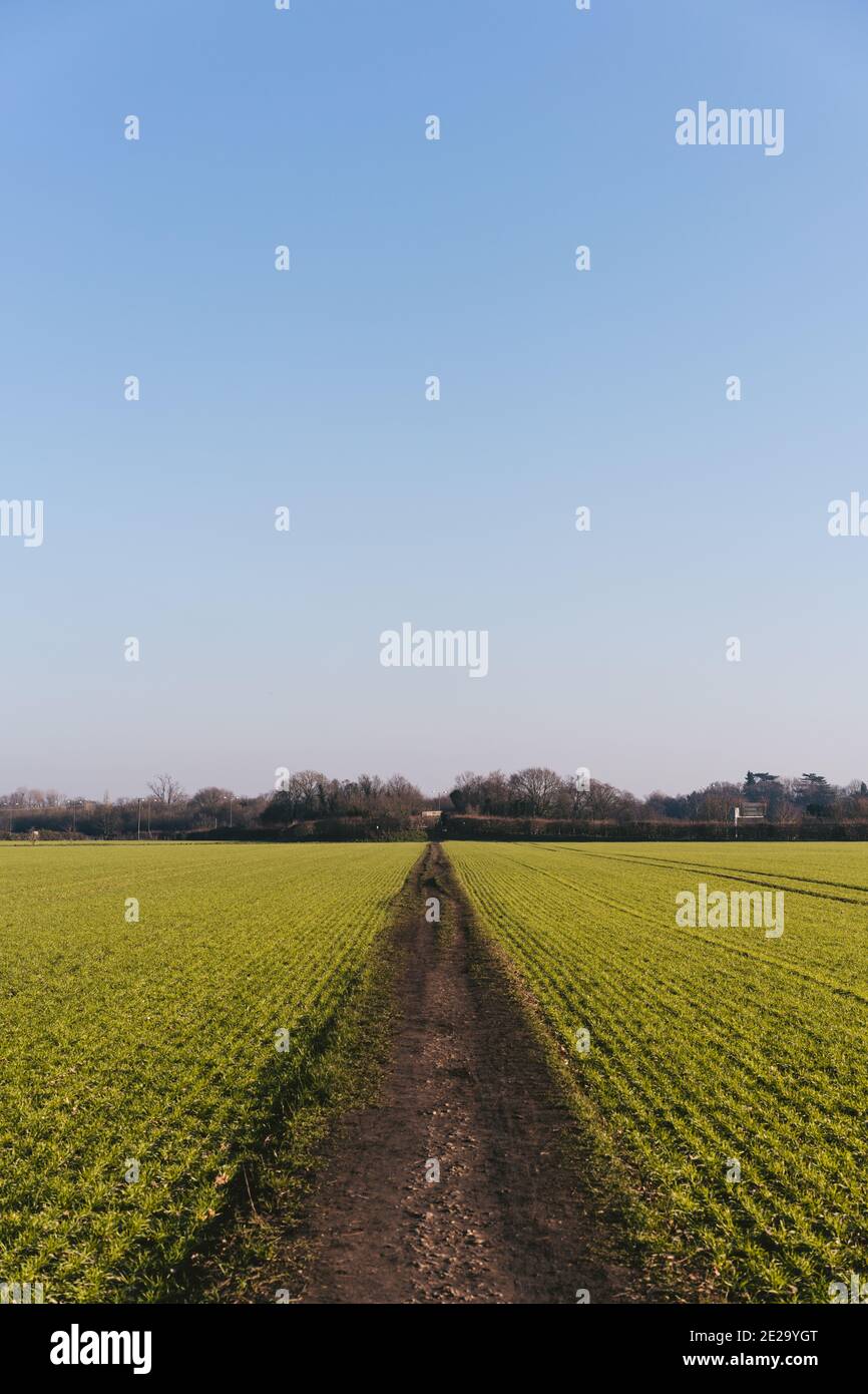 Empty green field with the trail in the middle located in west London ...
