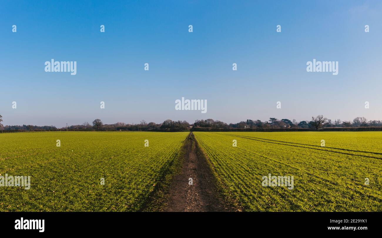 Empty green field with the trail in the middle located in west London ...