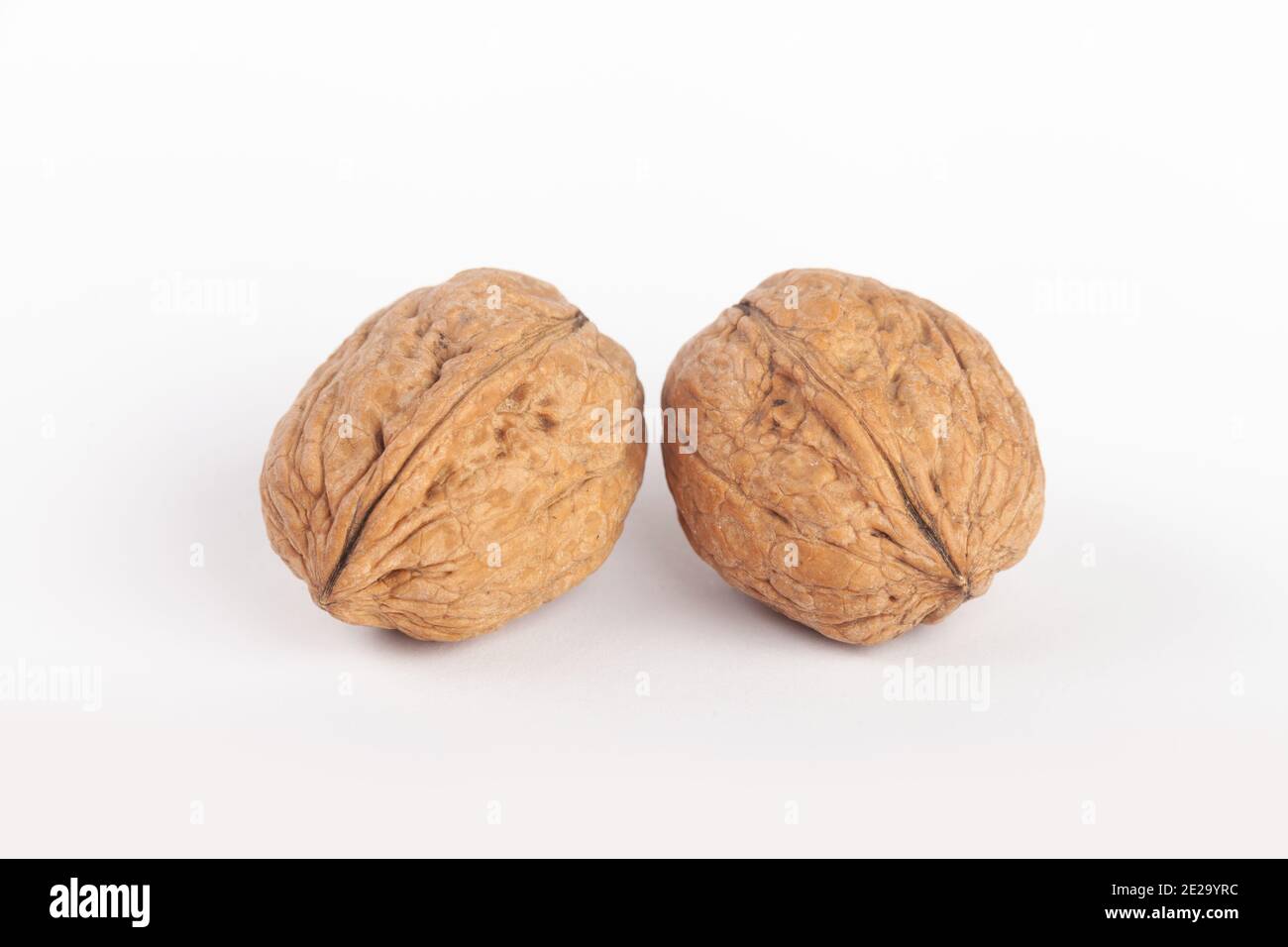 Two walnuts side by side on a white background Stock Photo - Alamy