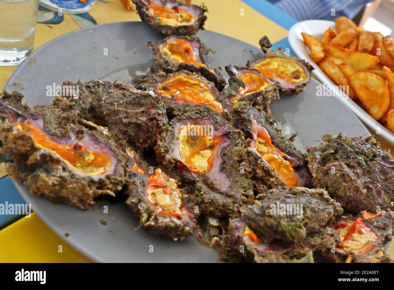 Sea squirts food hi-res stock photography and images - Alamy