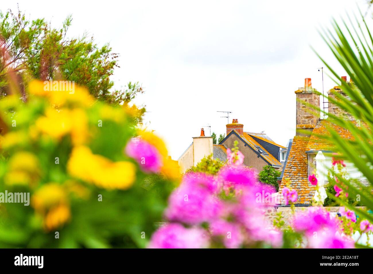 Normandy. Traditional village houses seen through blurry garden flowers ...