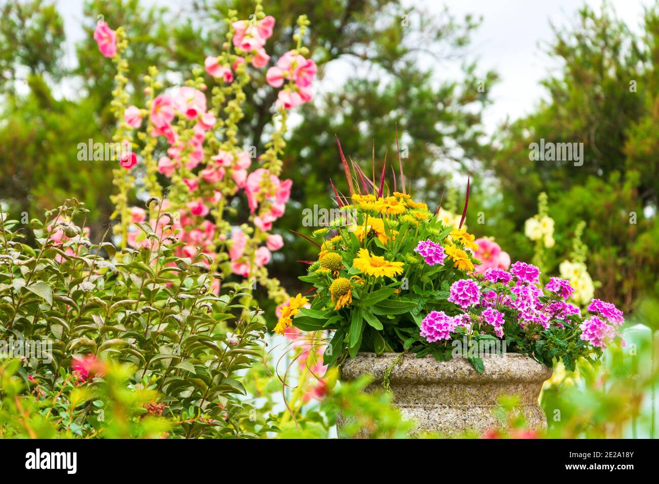 Gardening background. Beautiful plants and flowers in marble vase ...