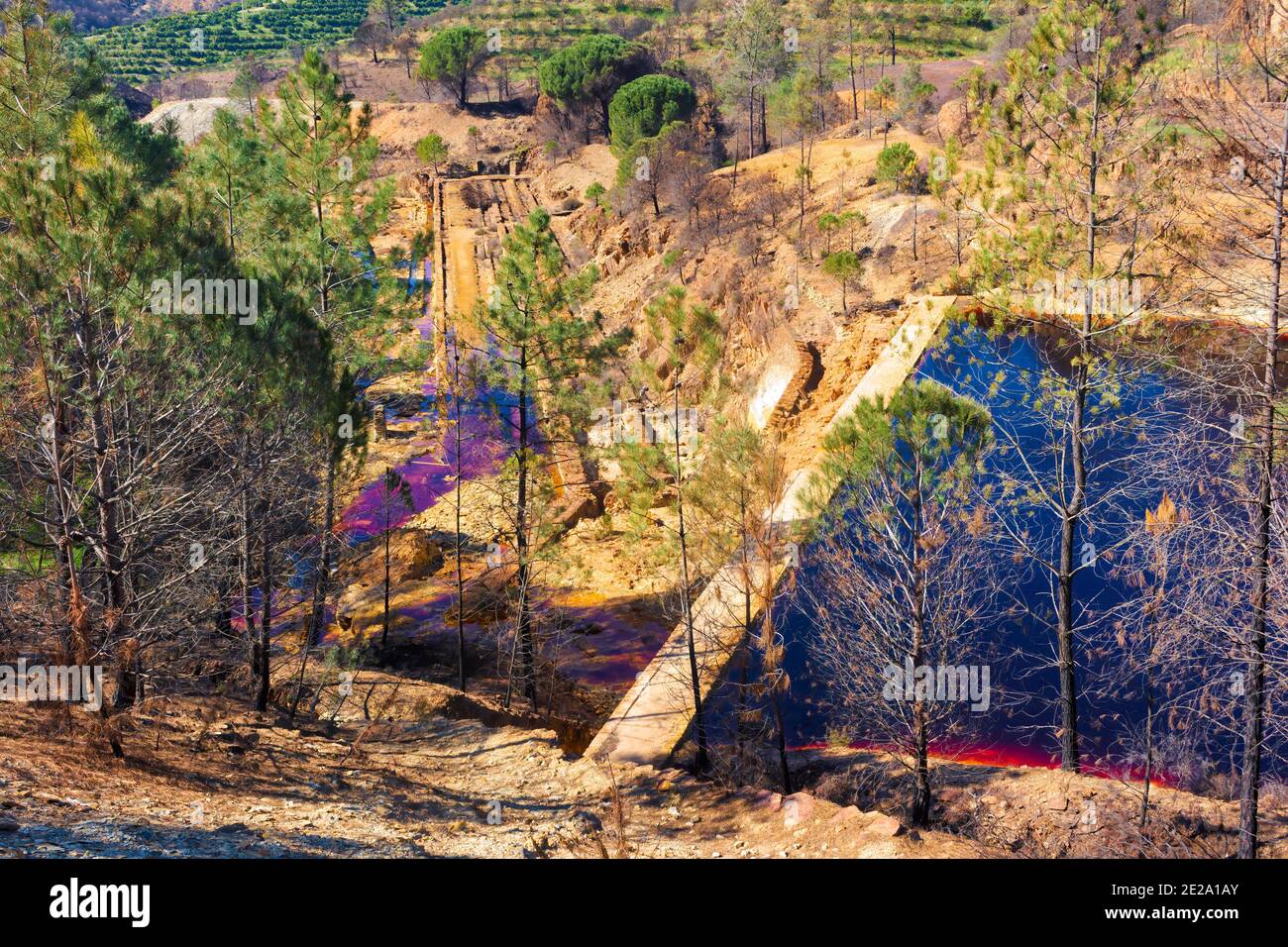 View of the reservoir of the swamp of Tumbanales whose waters are of ...
