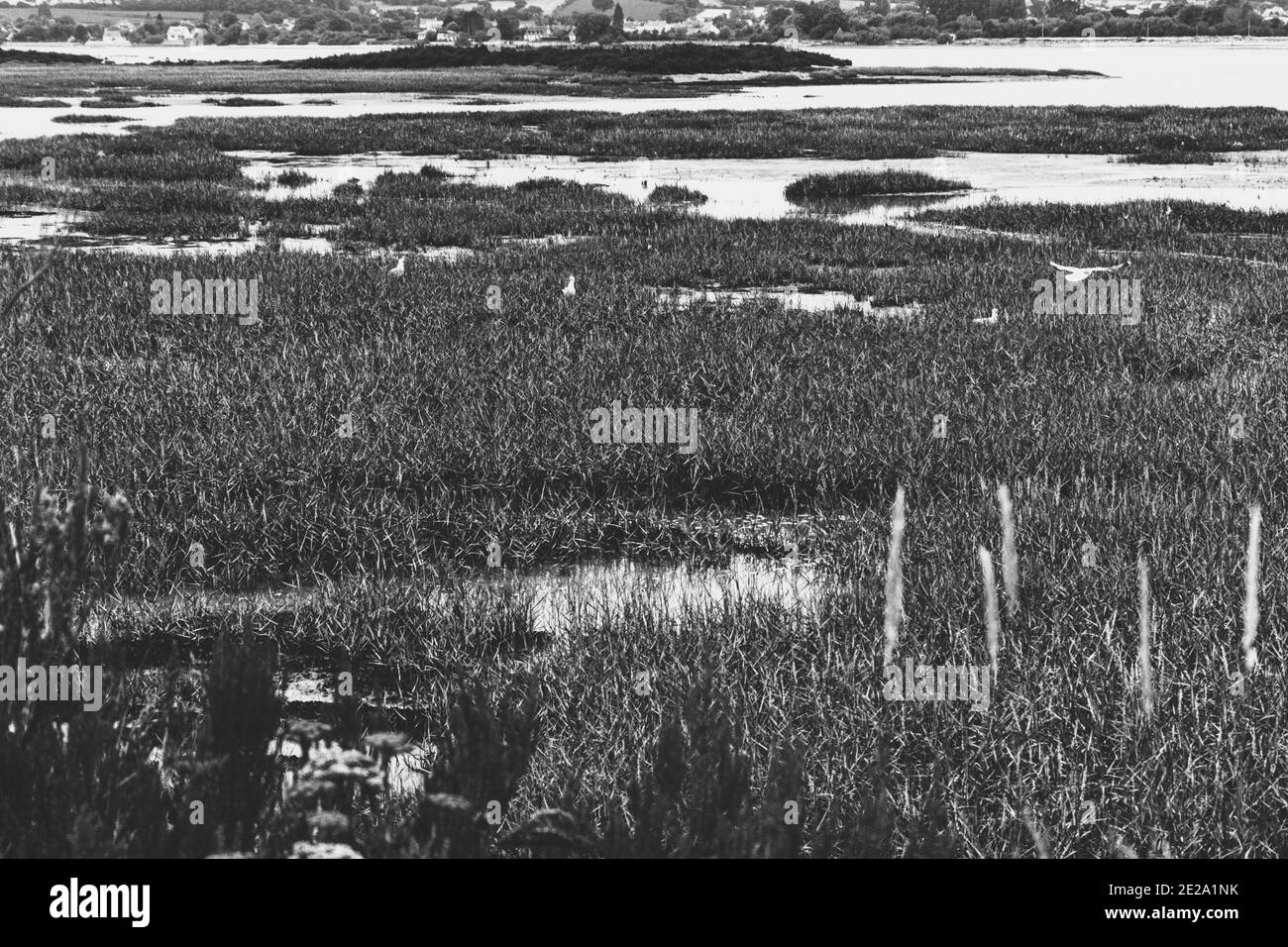 Normandy, France. Beautiful marshland landscape near Saint-Vaast-la ...