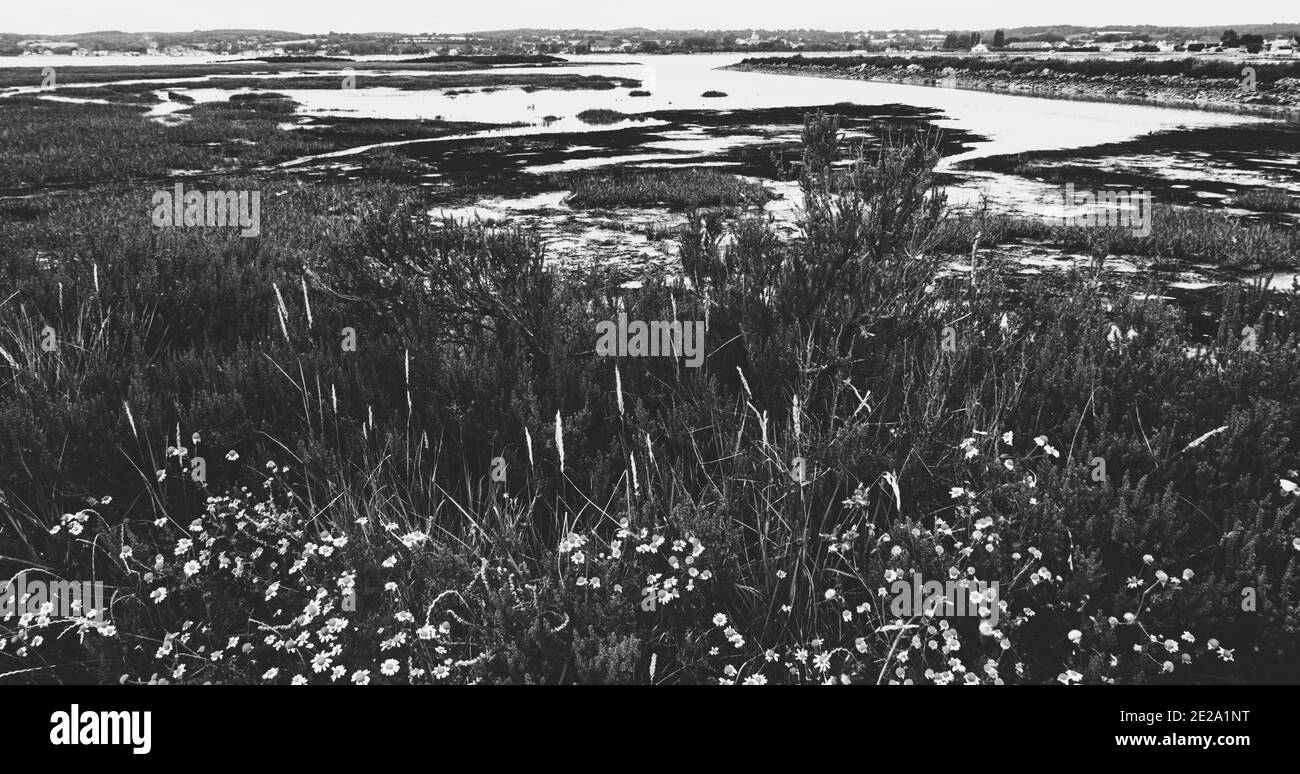 Normandy, France. Beautiful marshland landscape near Saint-Vaast-la ...