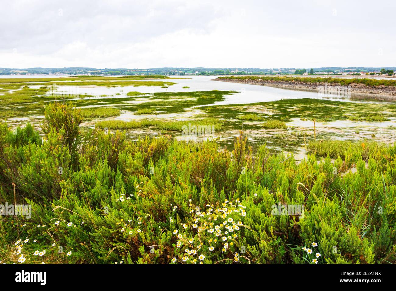 Normandy, France. Beautiful marshland landscape near Saint-Vaast-la ...