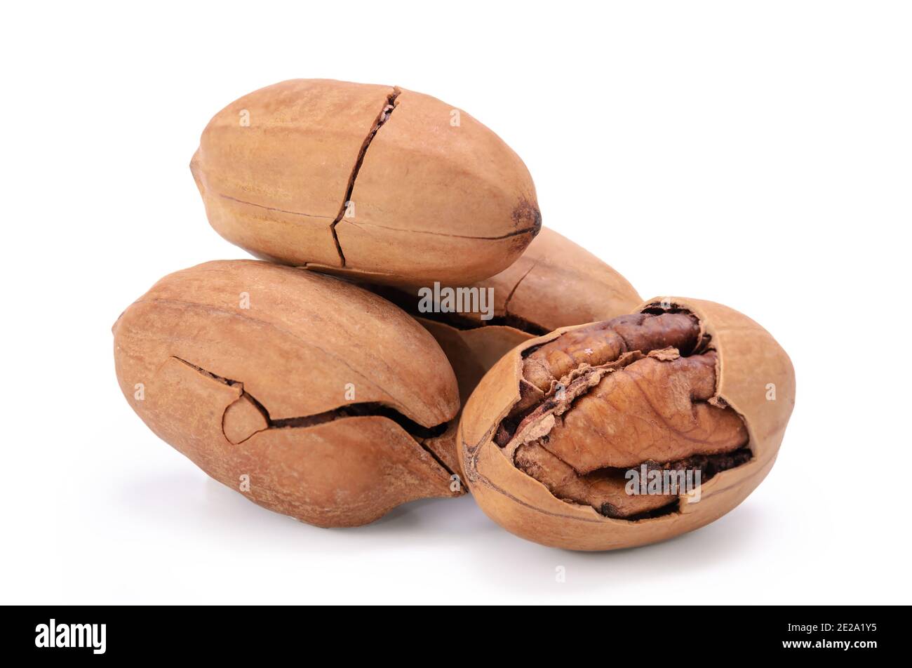 pecan on white background Stock Photo - Alamy