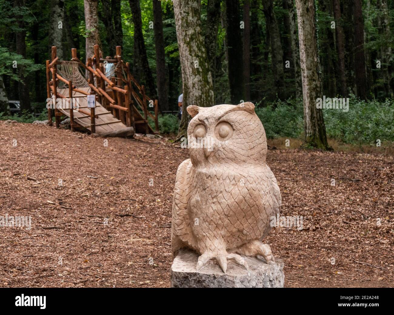 Gargano National Park, Foresta Umbra Nature Reserve, Italy, Gargano ...