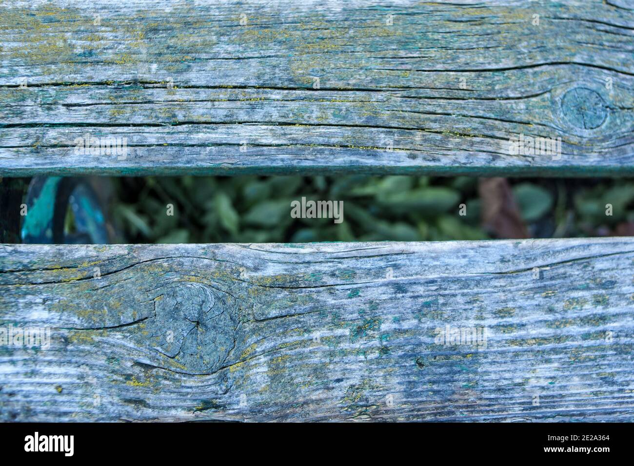 weathered green wood background with texture Stock Photo - Alamy