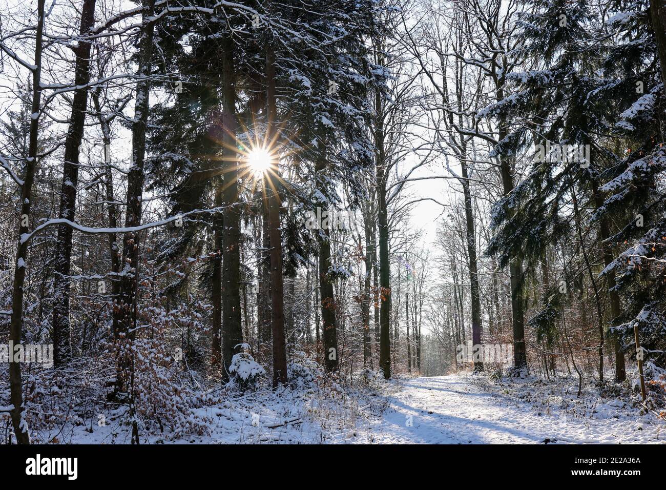 Frosty environment hi-res stock photography and images - Alamy