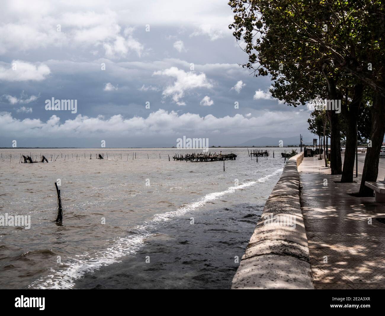 Lesina Lake, Sacca Orientale State Nature Reserve, Lesina, Fogglia ...