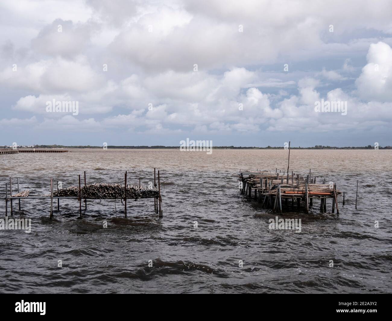 Lesina Lake, Sacca Orientale State Nature Reserve, Lesina, Fogglia ...