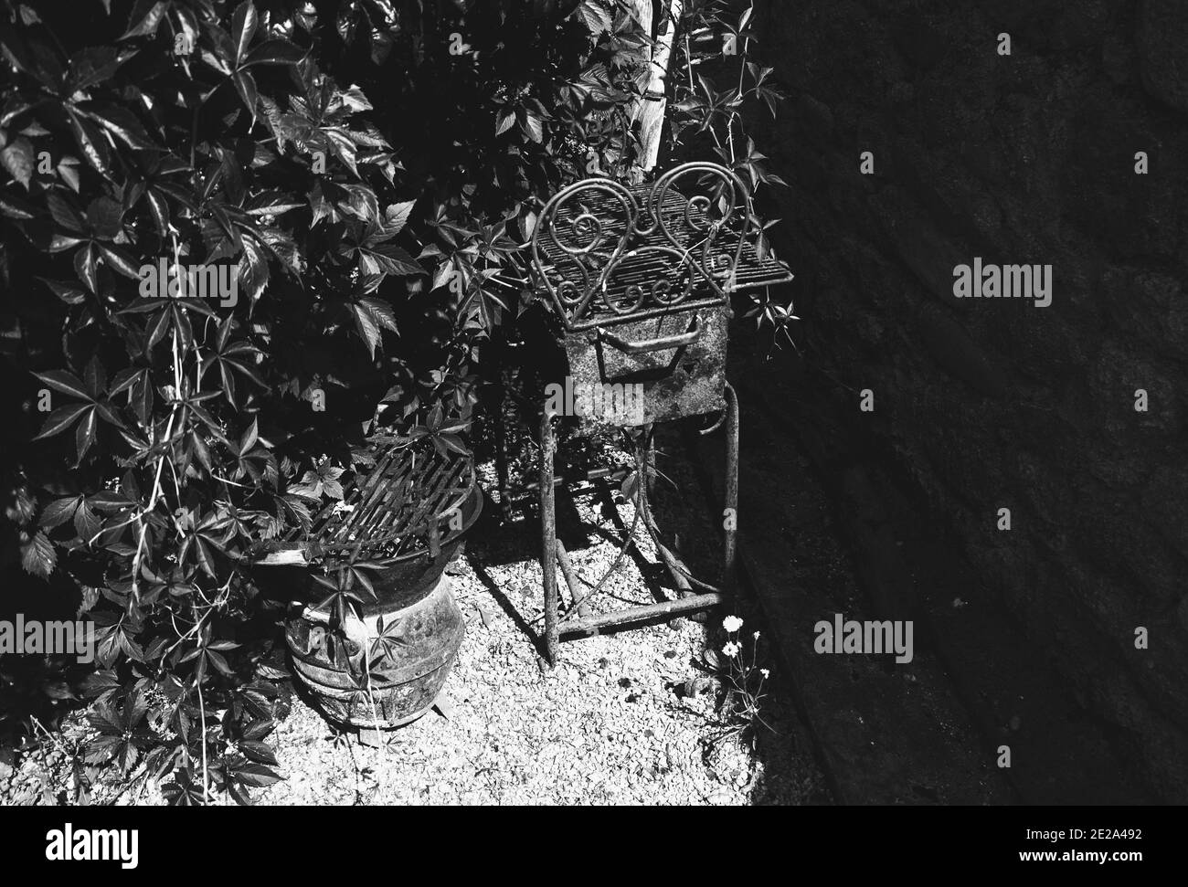 Garden outdoor ambiance Black and White Stock Photos & Images - Alamy