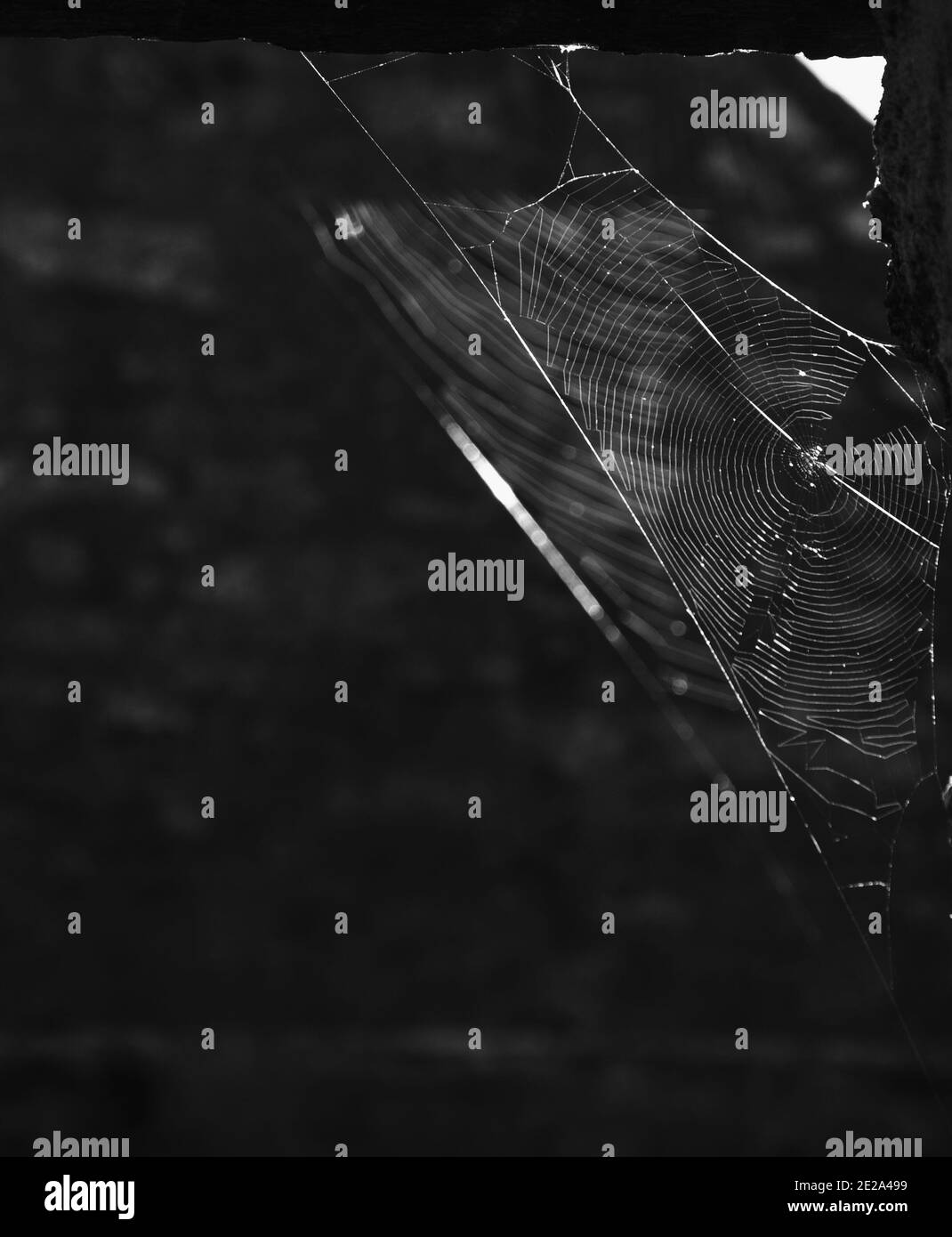 Spiderweb on window frame of abandoned farm house. Decay beauty concept ...