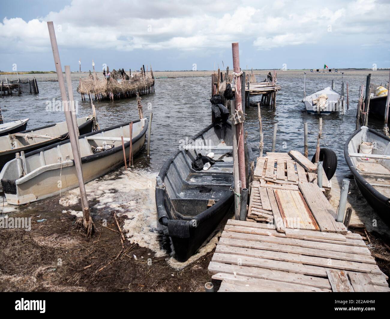 Lesina Lake, Sacca Orientale State Nature Reserve, Lesina, Fogglia ...