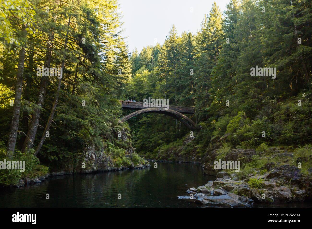 Bridge over a river in a forest on a sunny Stock Photo - Alamy