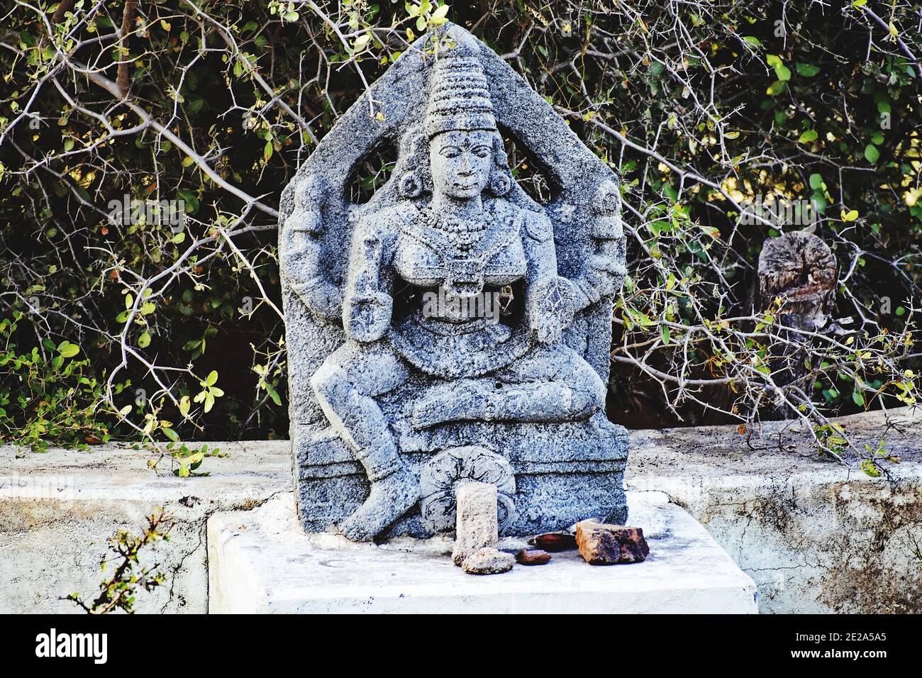Ancient stone sculpture with tree branches on the background Stock ...