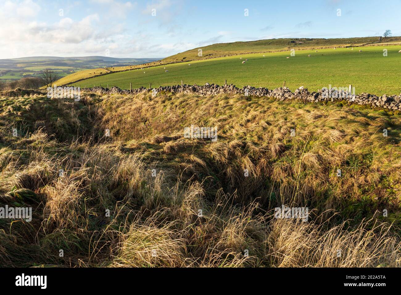 Old lead mine pits, Chelmorton, Peak District National Park, Derbyshire ...