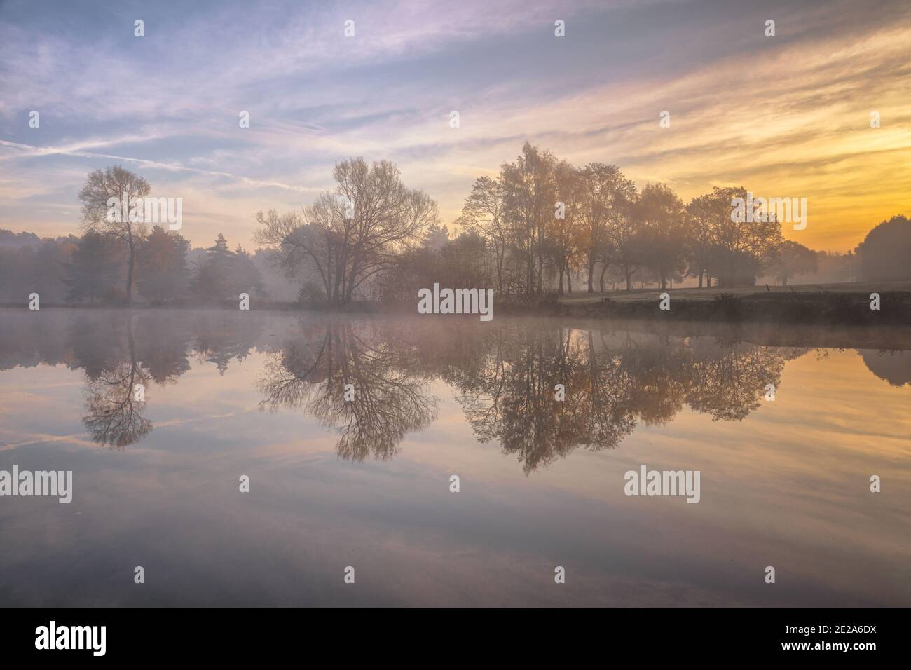 Beautiful natural reflection shots from the Warwickshire area of the UK ...