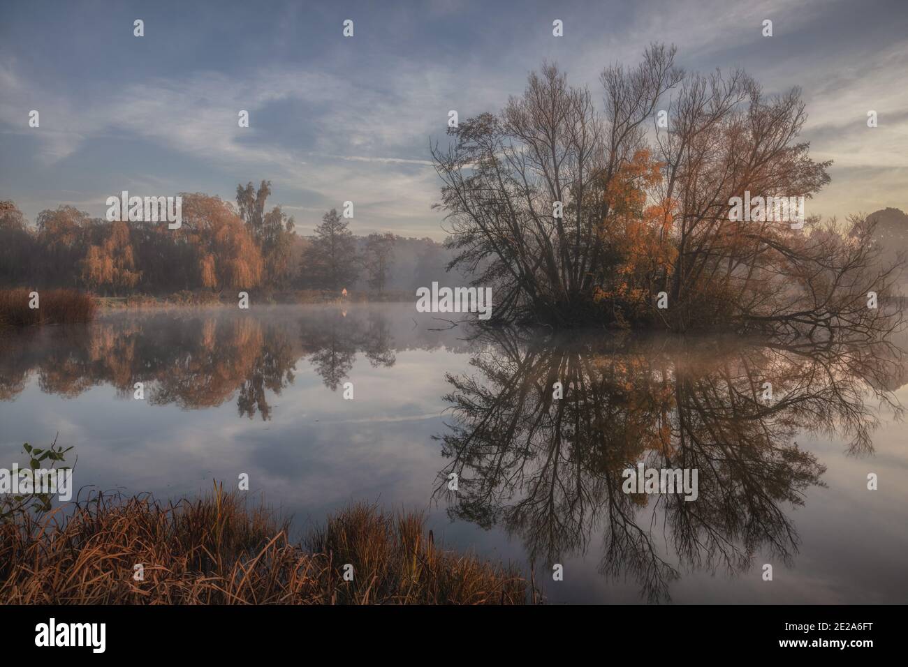 Light reflection from plants hi-res stock photography and images - Alamy