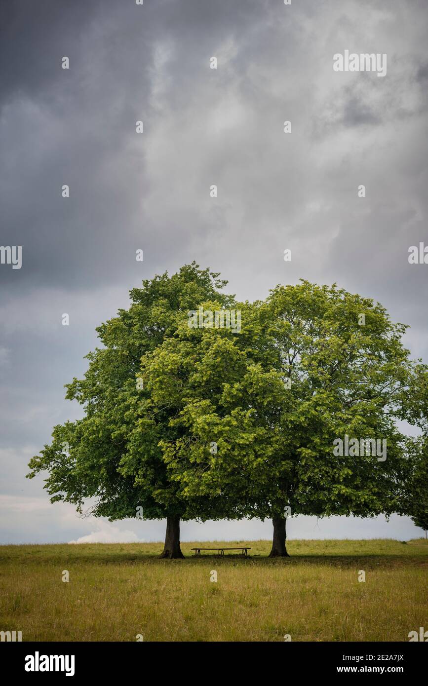 Field two hi-res stock photography and images - Alamy