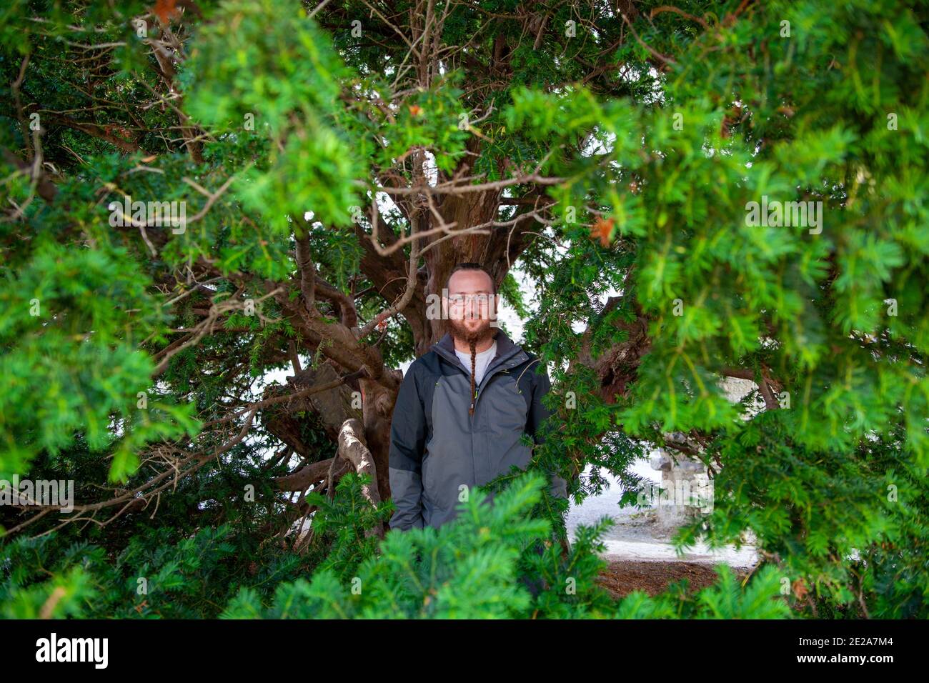 Man inside a tree wood hi-res stock photography and images - Alamy