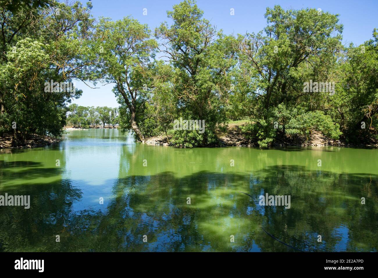 Lake for migratory birds in the biosphere reserve, sanctuary, Askania ...