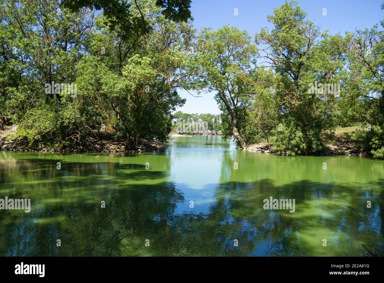 Lake for migratory birds in the biosphere reserve, sanctuary, Askania ...