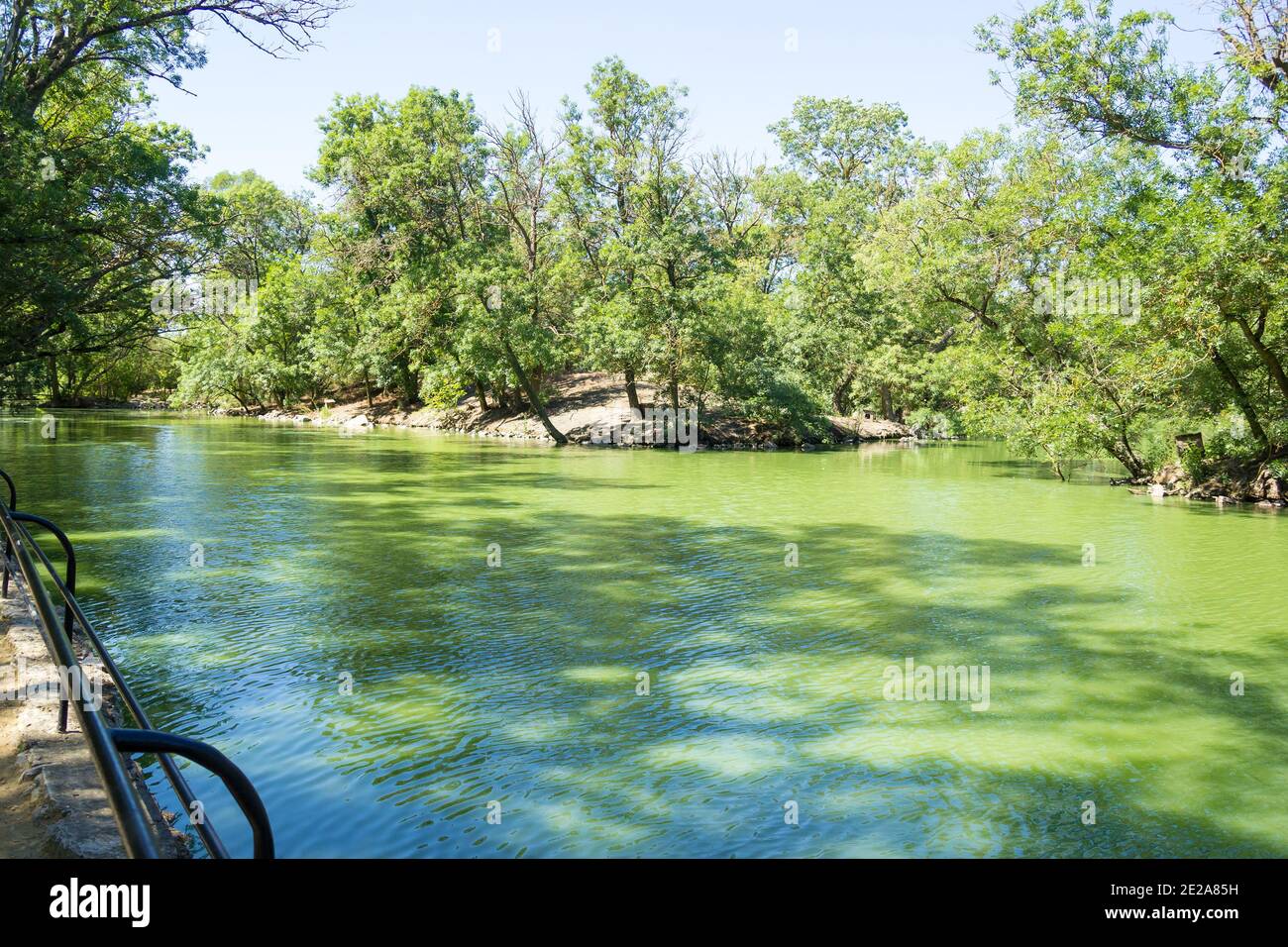 Lake for migratory birds in the biosphere reserve, sanctuary, Askania ...
