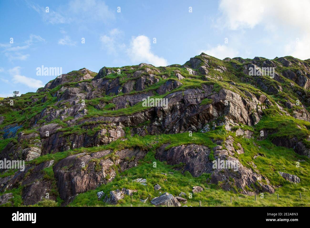 Big rock surrounded with crass and moss Stock Photo - Alamy