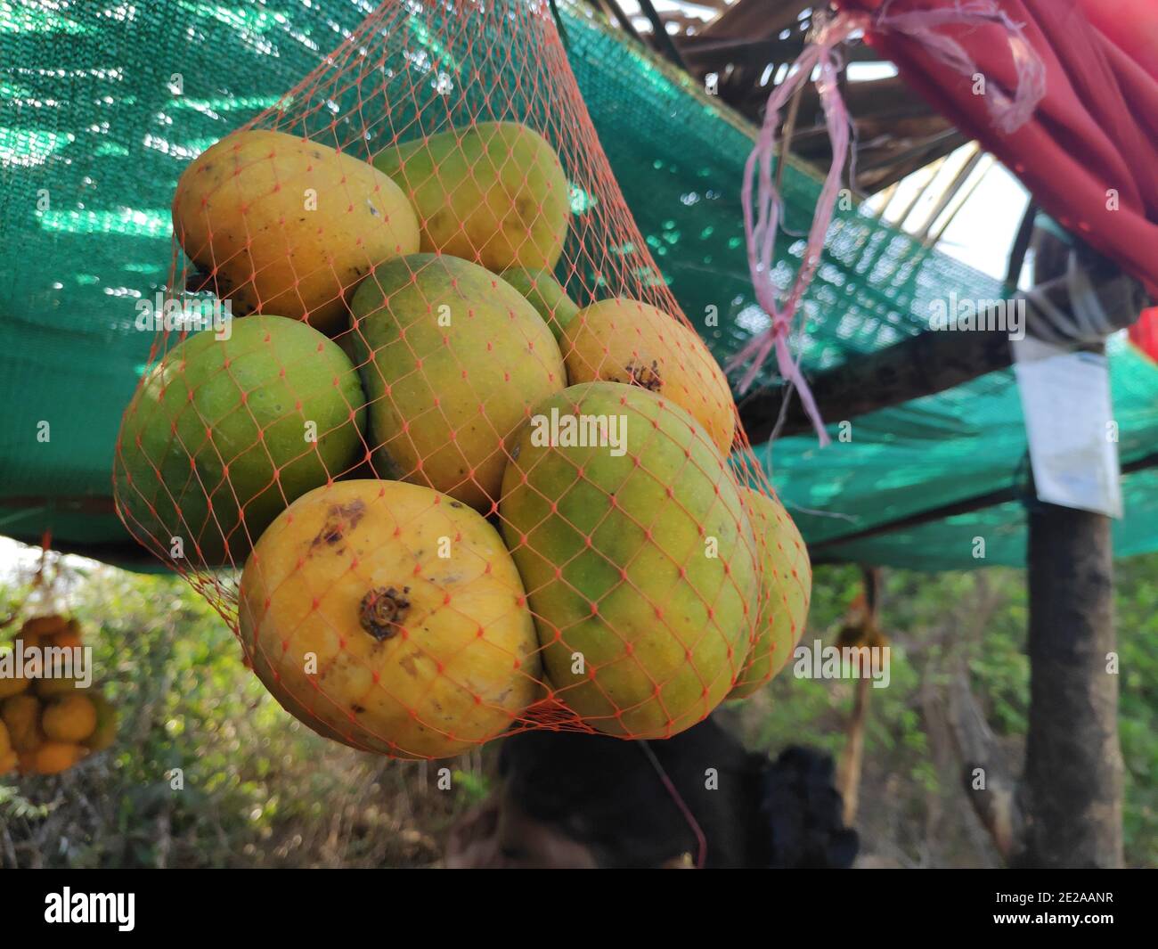 Exotic fruit showcase hi-res stock photography and images - Alamy