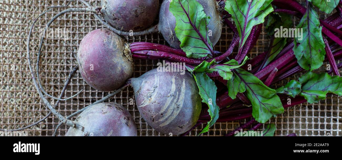 Beetroot vegetables. Horizontal flat lay on rustic kitchen with canvas ...
