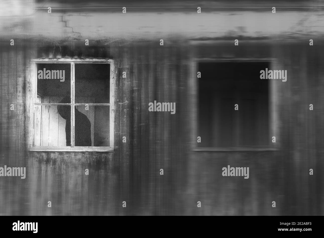 Silhouette man standing window watching Black and White Stock Photos ...