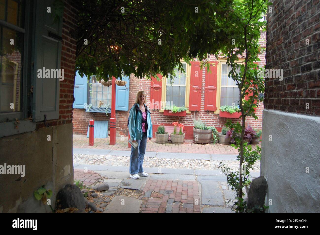 Philadelphia United States of America alley alleyway plant plants ...