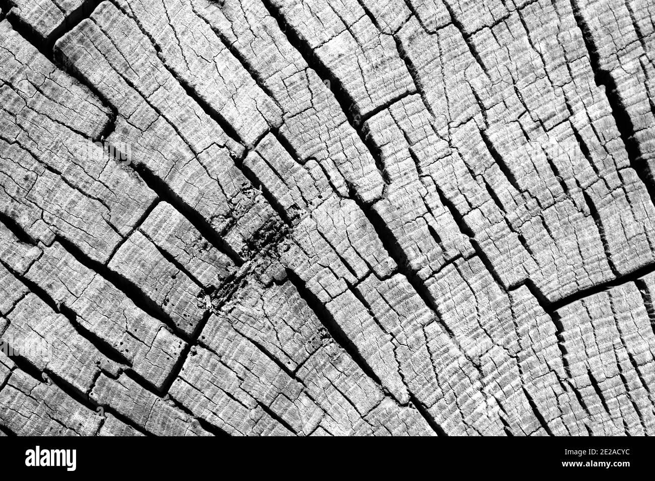 Old log wall Black and White Stock Photos & Images - Alamy