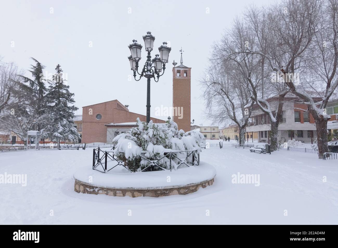 Temporal filomena hi-res stock photography and images - Alamy