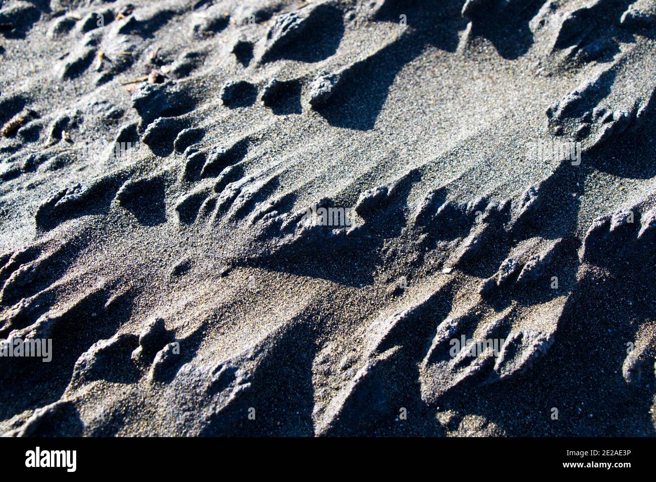 Sandy beach on the black sea, sand on the beach in Georgia Stock Photo ...