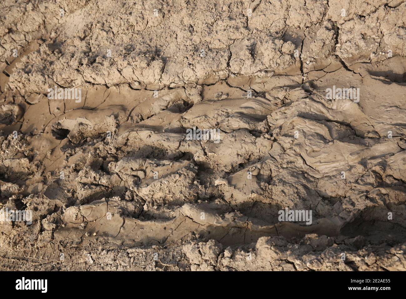 Rain puddle soil hi-res stock photography and images - Alamy