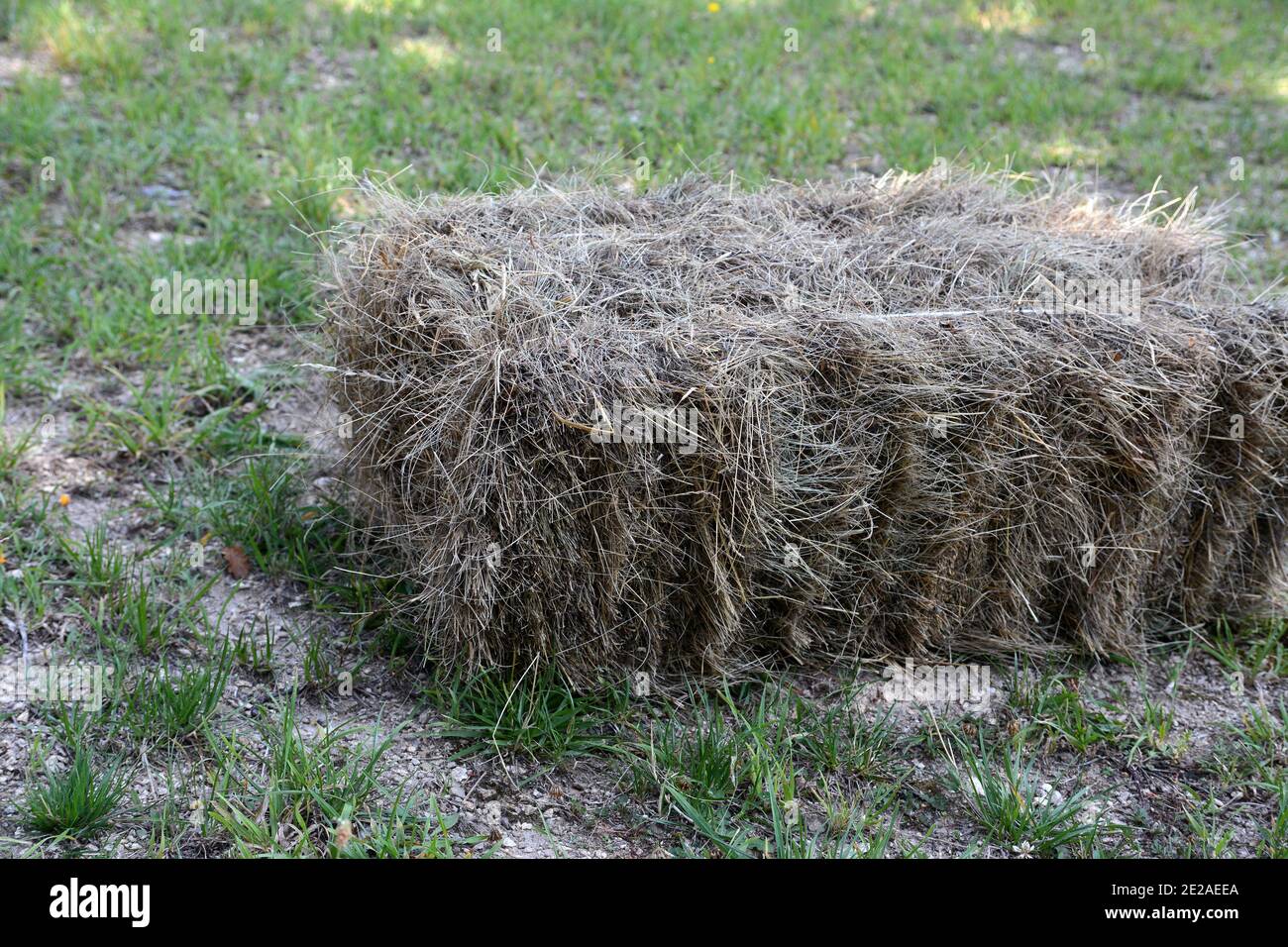 Square hay bale on a meadow Stock Photo - Alamy